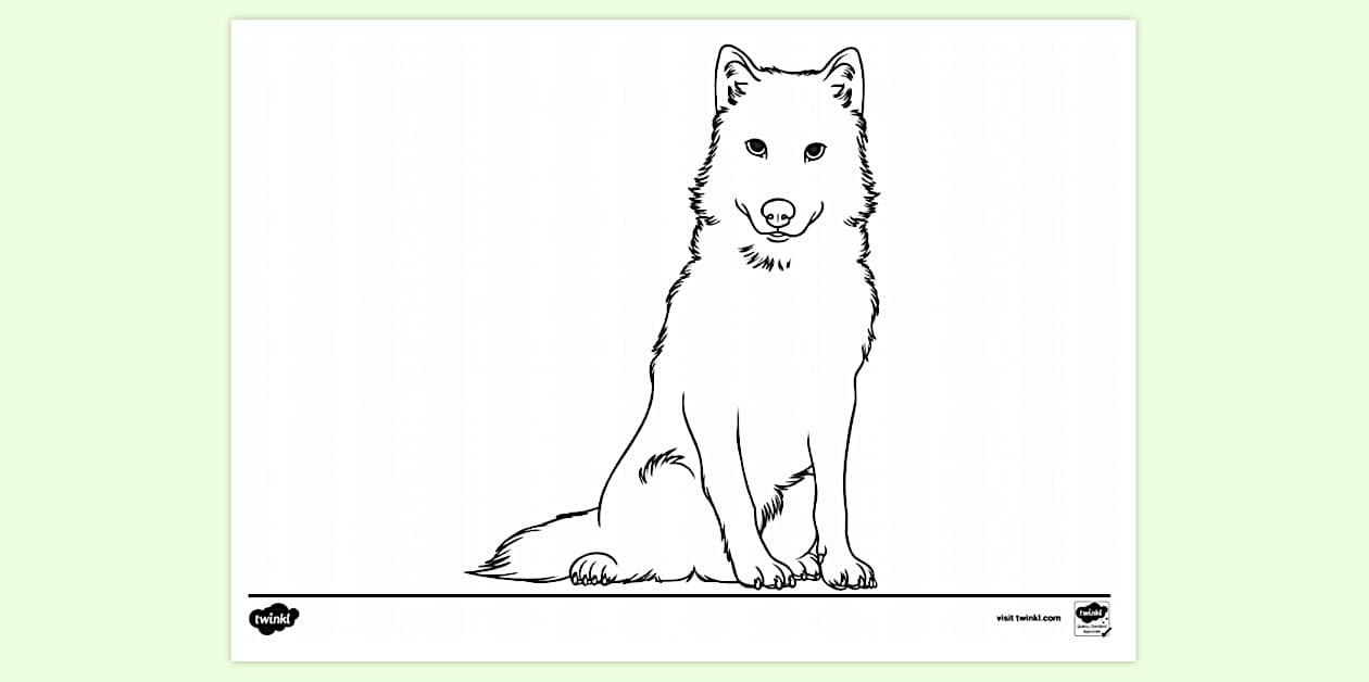 Printable Husky Colouring Page | Colouring Sheets - Twinkl