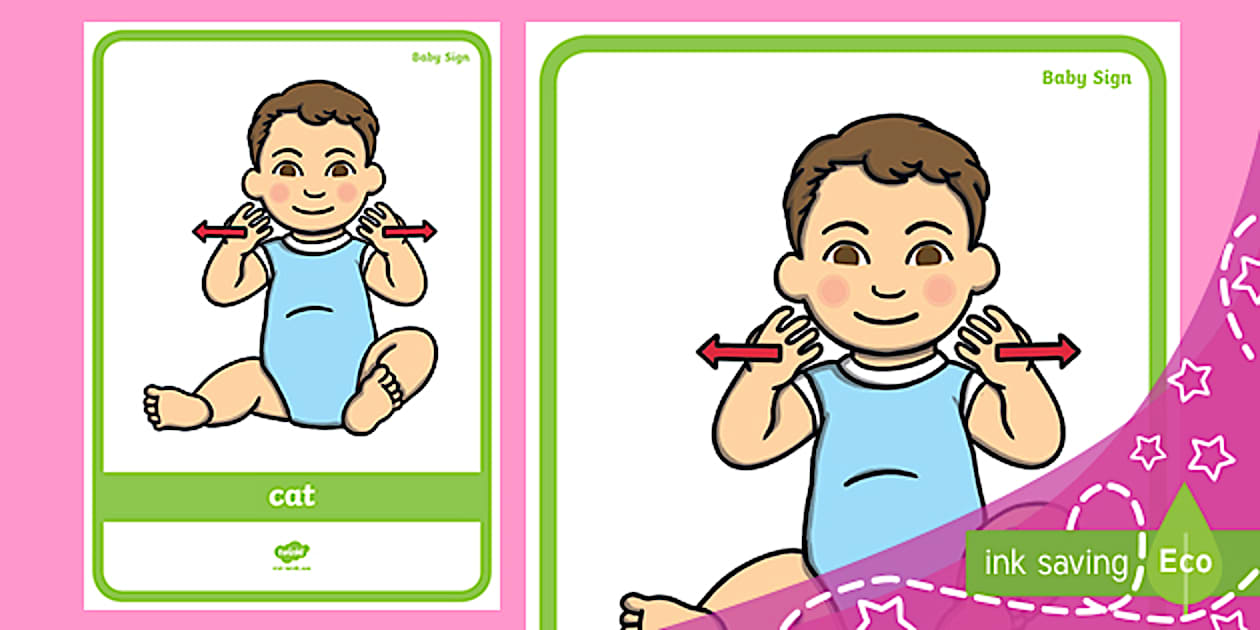 Baby Sign Language Poster (Cat) (teacher made) - Twinkl