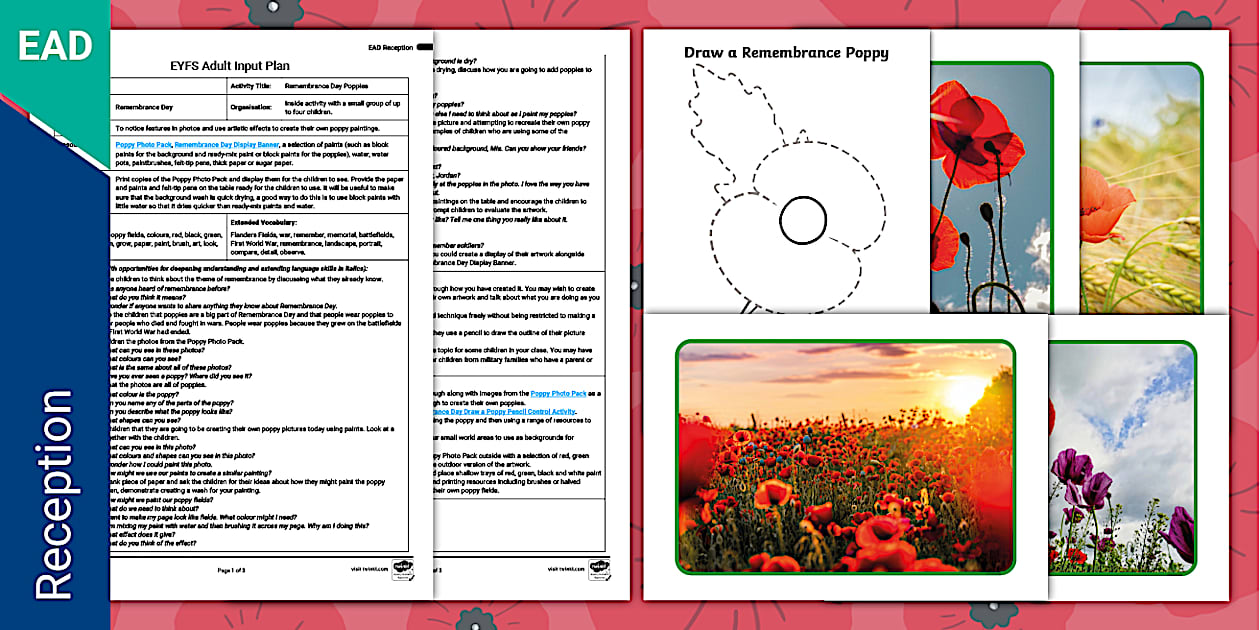 EYFS Remembrance Day Poppies Adult Input Plan and Resources