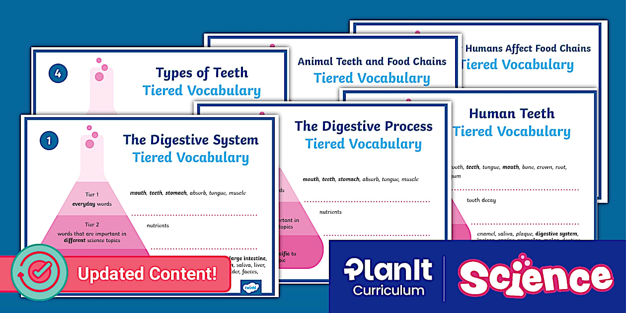 Year 4 Tiered Vocabulary Posters