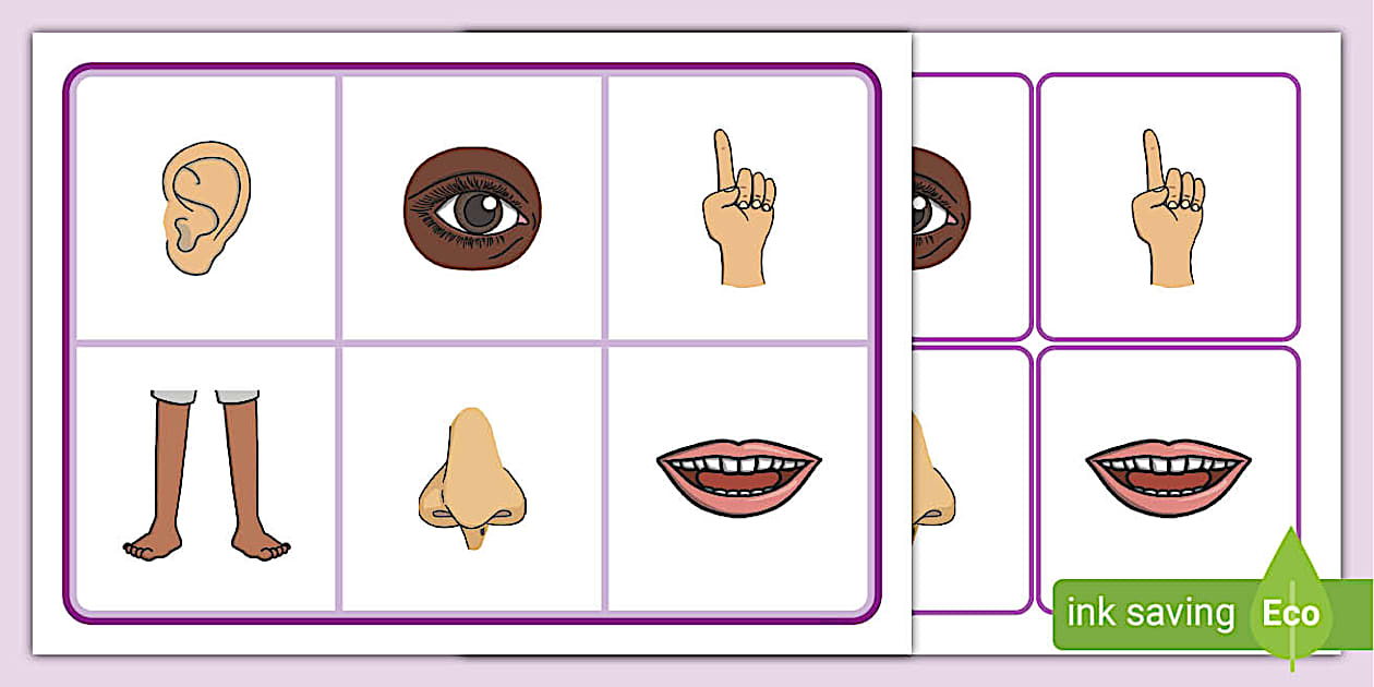 Body Parts Matching Cards and Board - Twinkl