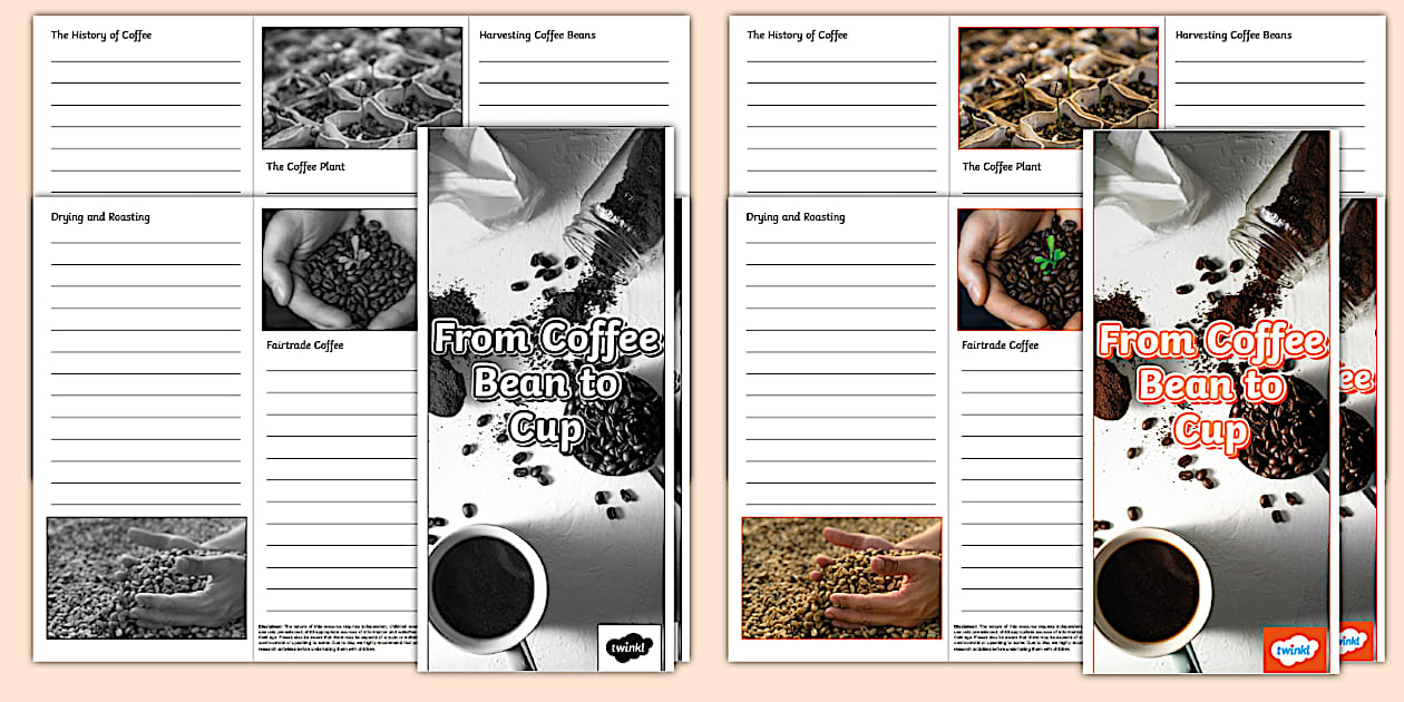 From Coffee Bean to Cup Leaflet (teacher made) - Twinkl
