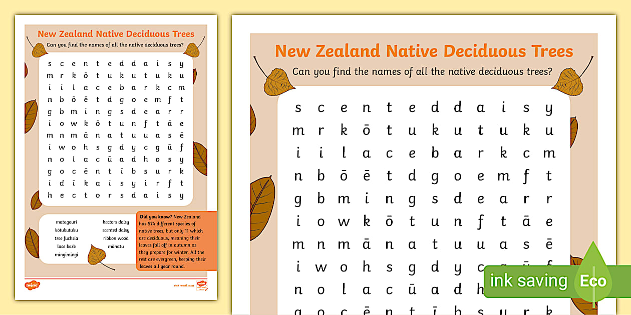 New Zealand Native Deciduous Tree Word Search - Twinkl