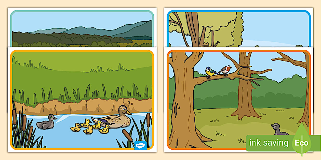 Ugly Duckling Setting Display Posters (teacher made)