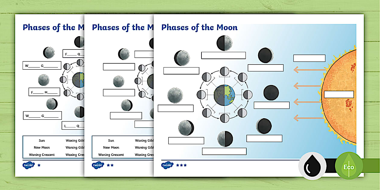 Phases of the Moon Labelling Worksheet (Teacher-Made)
