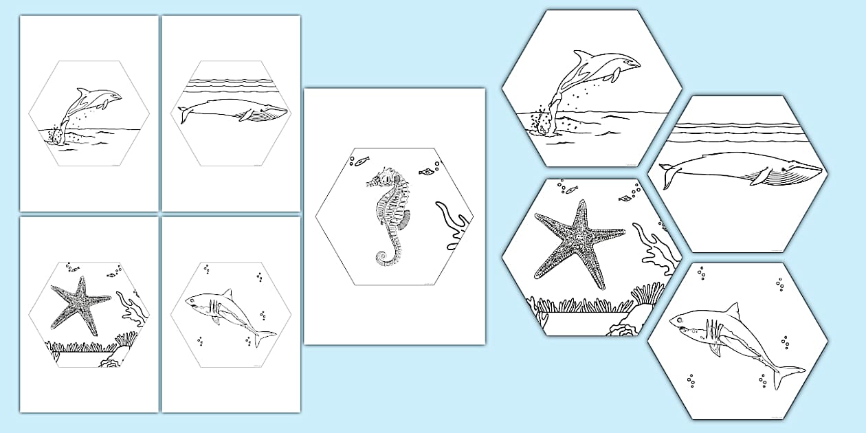 Sea Creatures Hexagon Display Colouring Activity - Twinkl