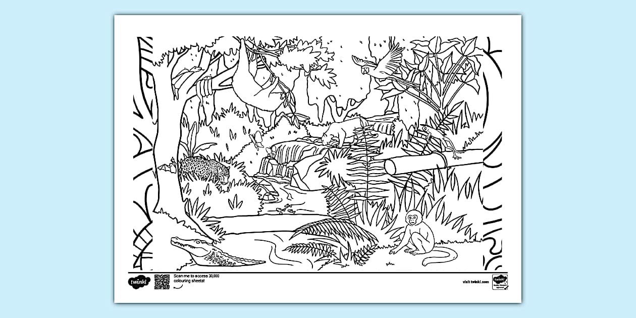 Amazon Rainforest Mindfulness Colouring Page (teacher made)