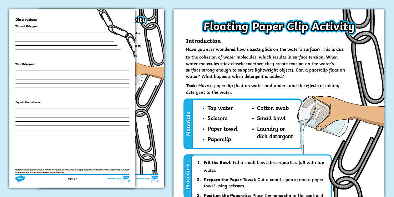Floating Paper Clip Activity (Teacher-Made) - Twinkl