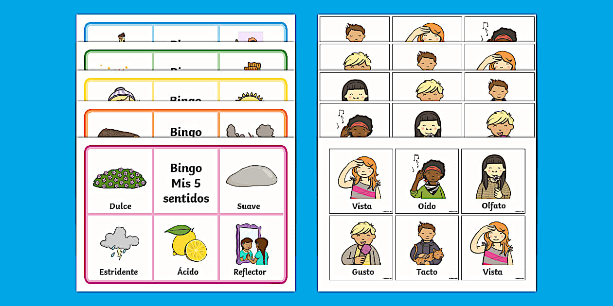 Juego didáctico: Bingo de los 5 sentidos para imprimir