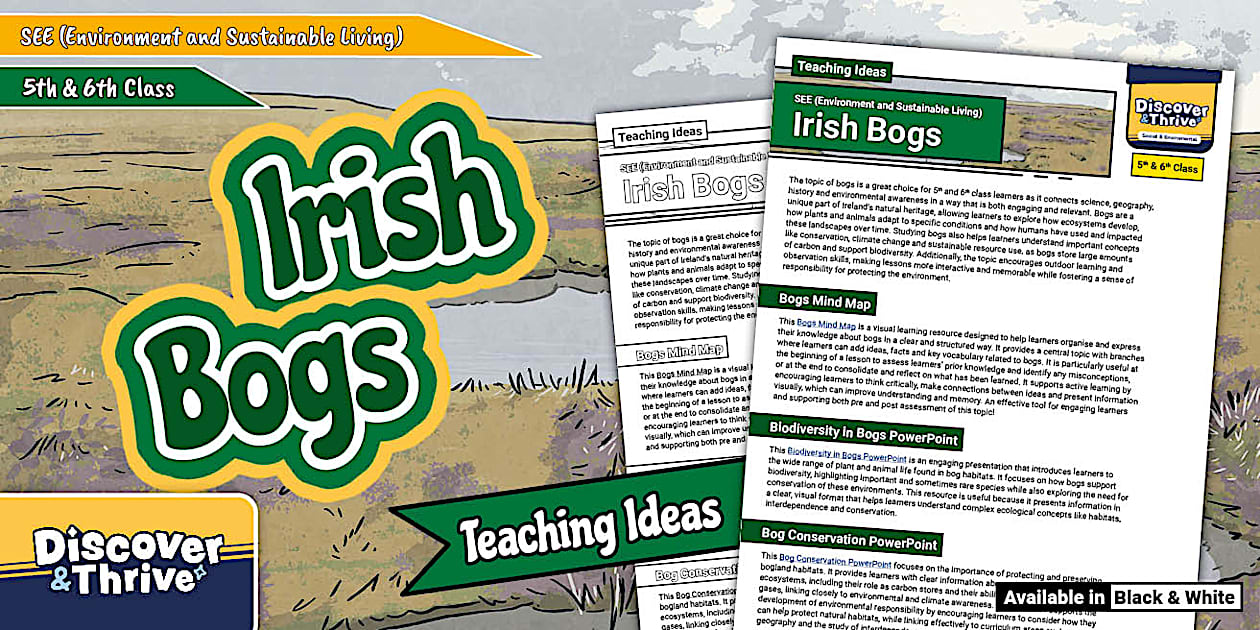Irish Bogs Teaching Ideas 5th and 6th Class