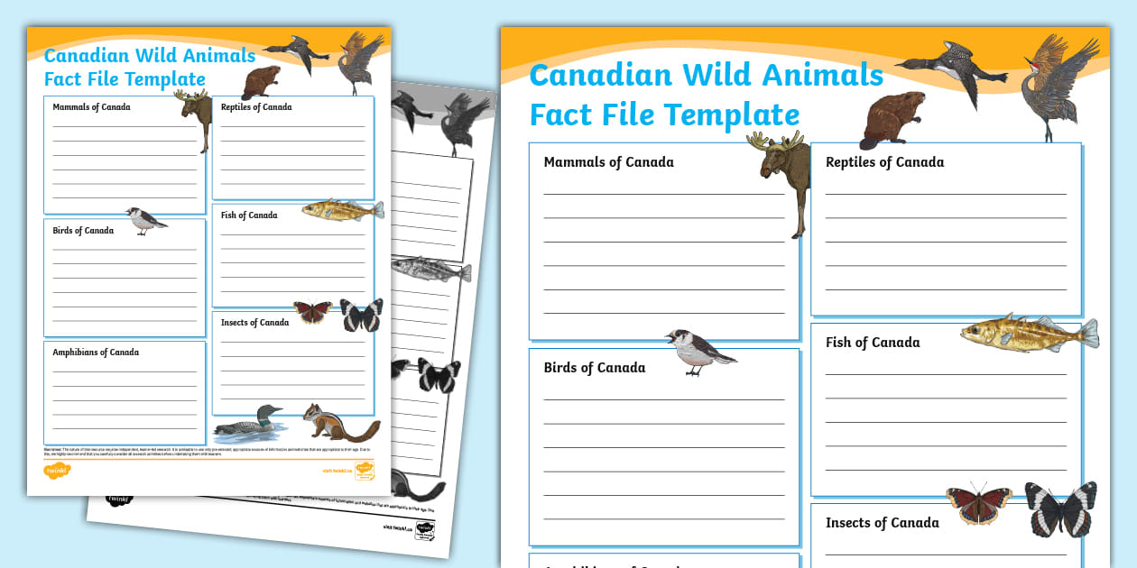 Canadian Wild Animals Fact File Template - Twinkl