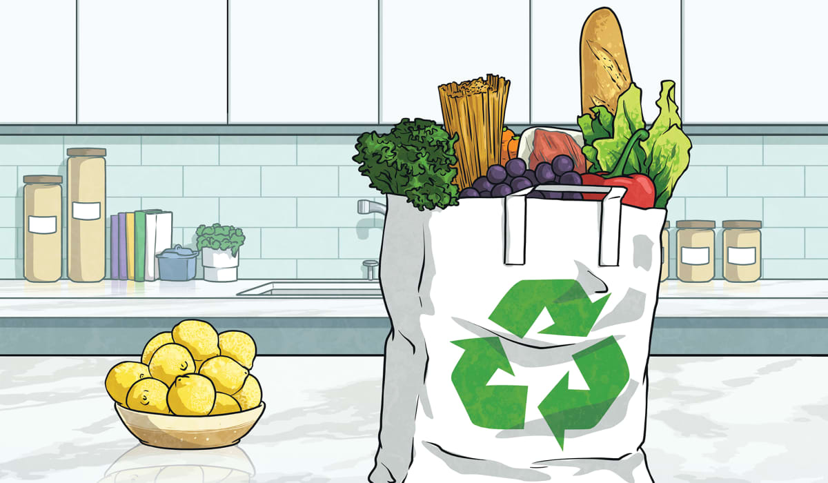 Paper or Plastic? - Twinkl NewsRoom - Twinkl