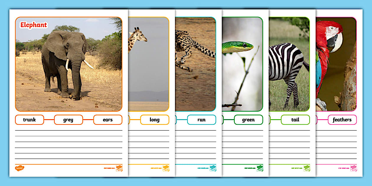Hot Climate Animals Simple Sentence Photo Worksheets