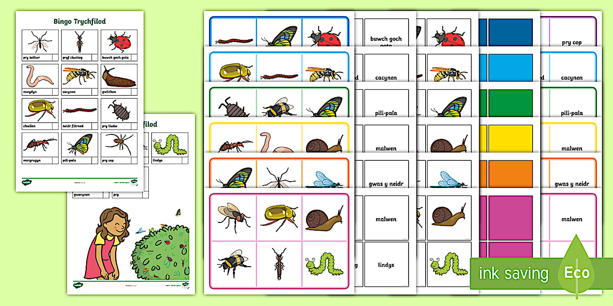 Pecyn Bingo Trychfilod (teacher made) - Twinkl