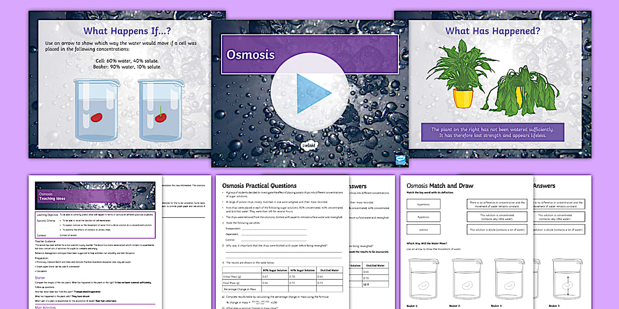 AQA Unit 1 Osmosis Cover Lesson Pack (teacher made) - Twinkl