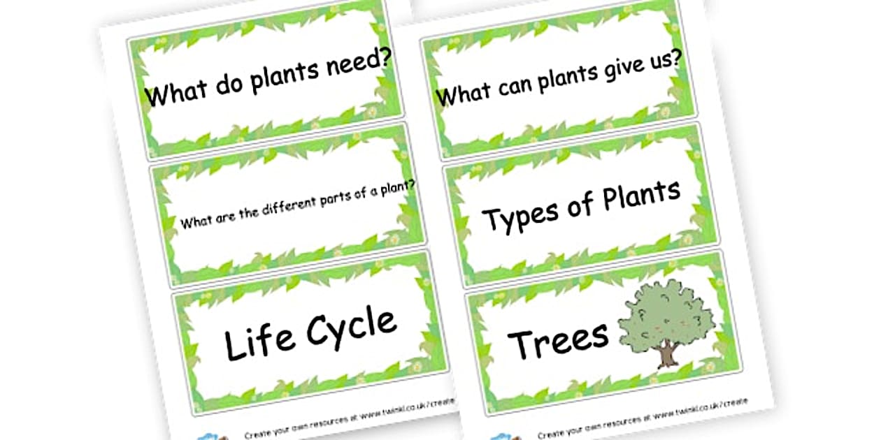 Plants (teacher made) - Twinkl