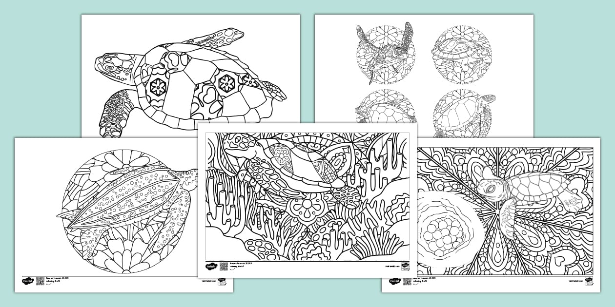 KS1 Turtle Mindfulness Colouring Pages - Twinkl