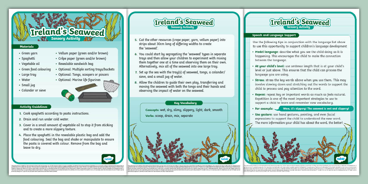 Ireland's Sensory Seaweed Activity (teacher made) - Twinkl