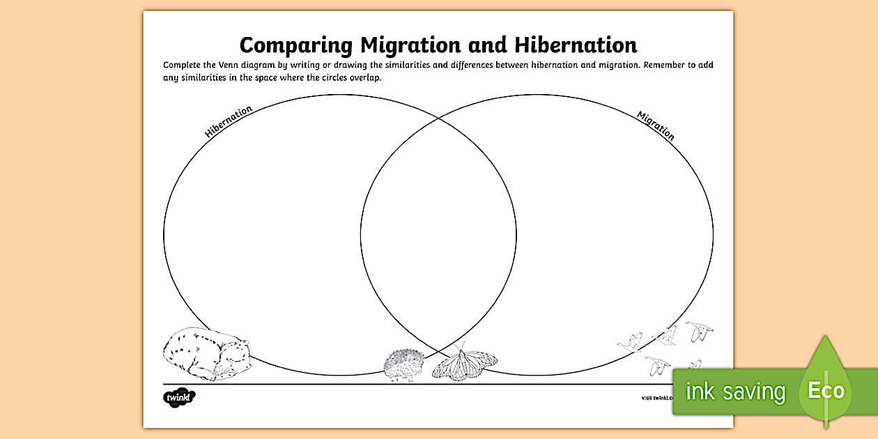 Venn Diagram Hibernation and Migration Worksheet - Twinkl