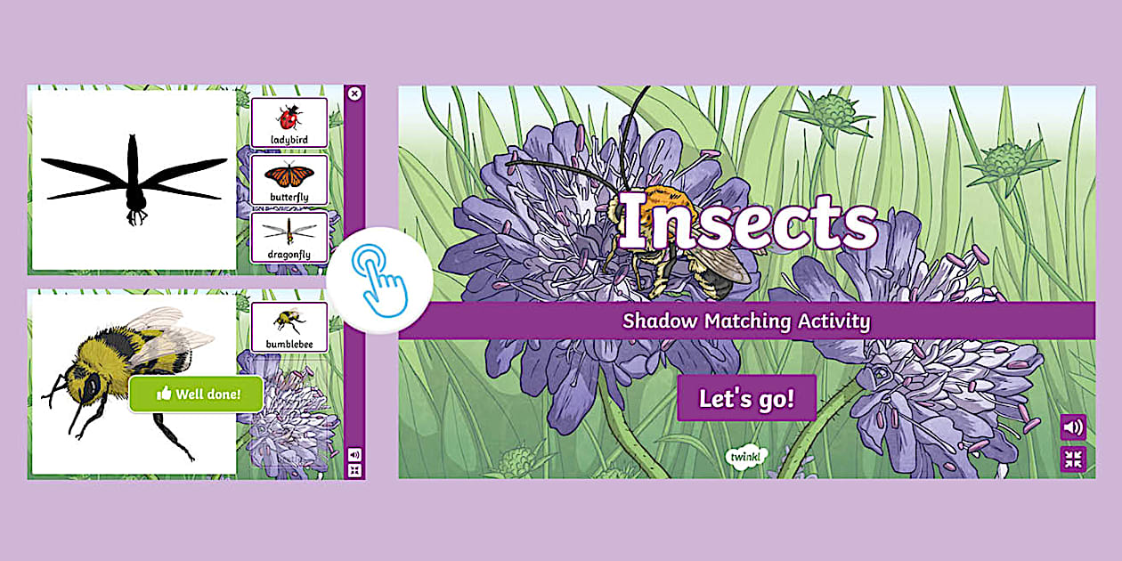 Insect Interactive Shadow Matching Game - Twinkl