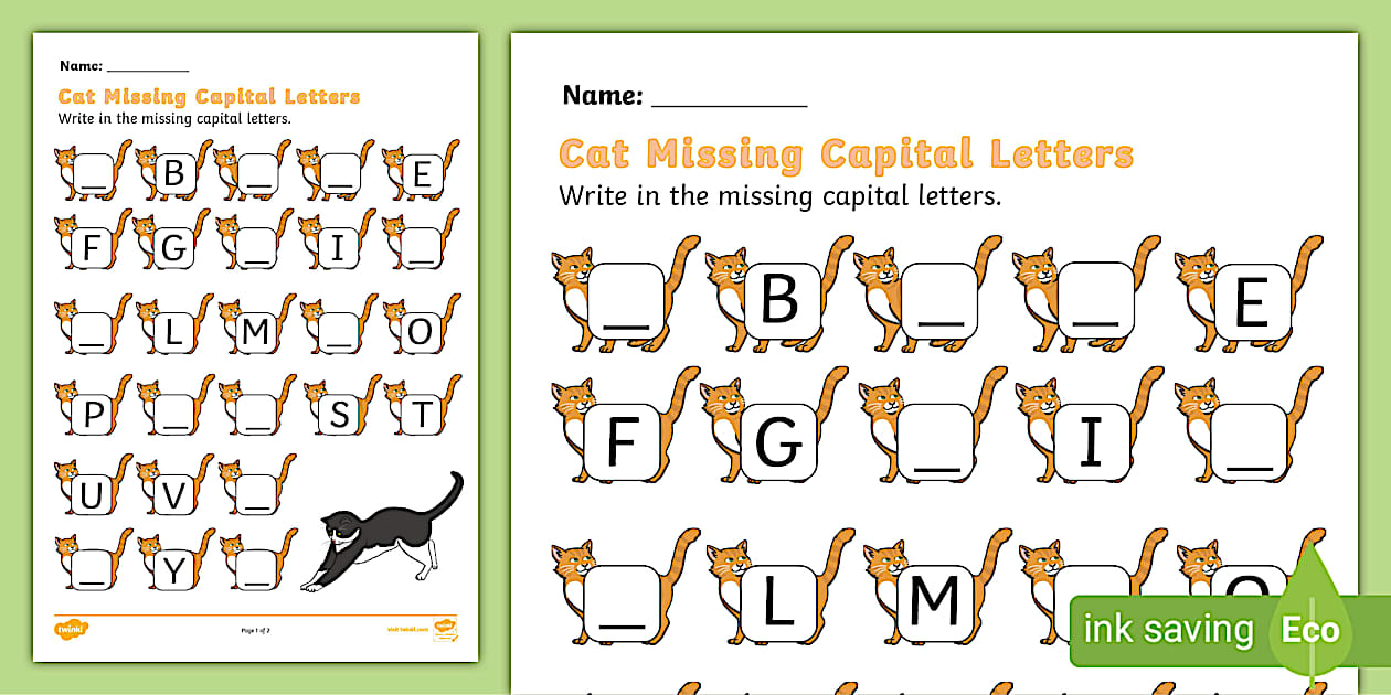 Cat Missing Capital Letters Worksheet (teacher made)