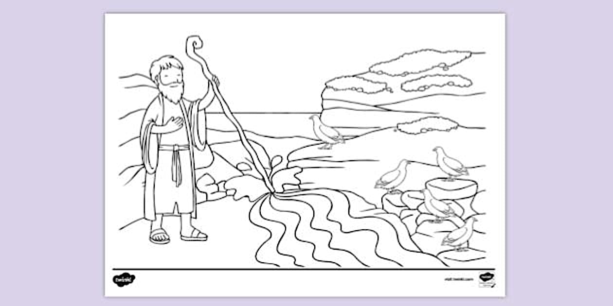 Colouring | Colouring Sheets (Hecho por educadores) - Twinkl