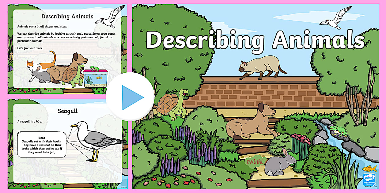 Describing Animals PowerPoint - Twinkl