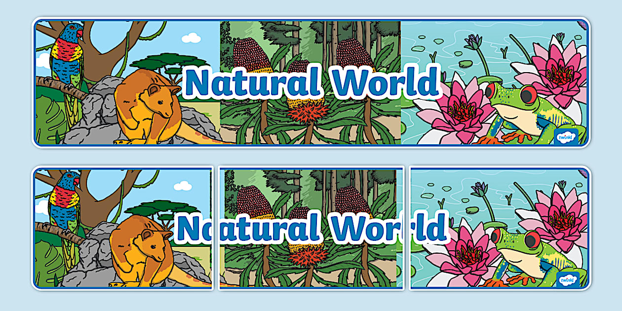 STEM IU Foundation Natural World Display Banner - Twinkl