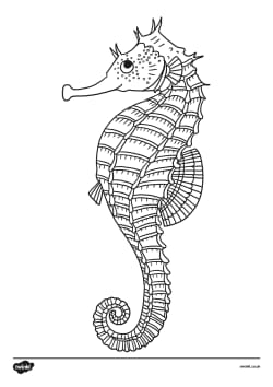 Under the Sea Themed Mindfulness Colouring Sheets