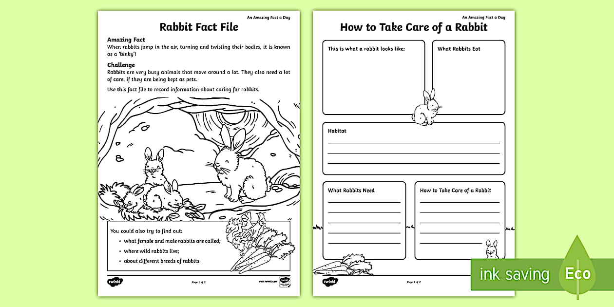 Facts About Rabbits - Fact File Worksheet - KS1 - Twinkl