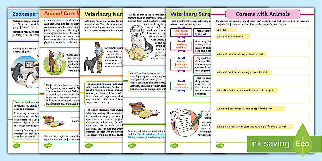 Working with Animals (teacher made) - Twinkl