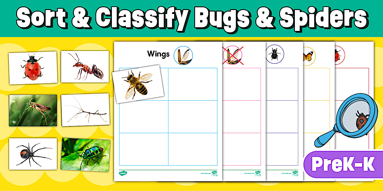 Sort and Classify Bugs and Spiders Activity for PreK-K