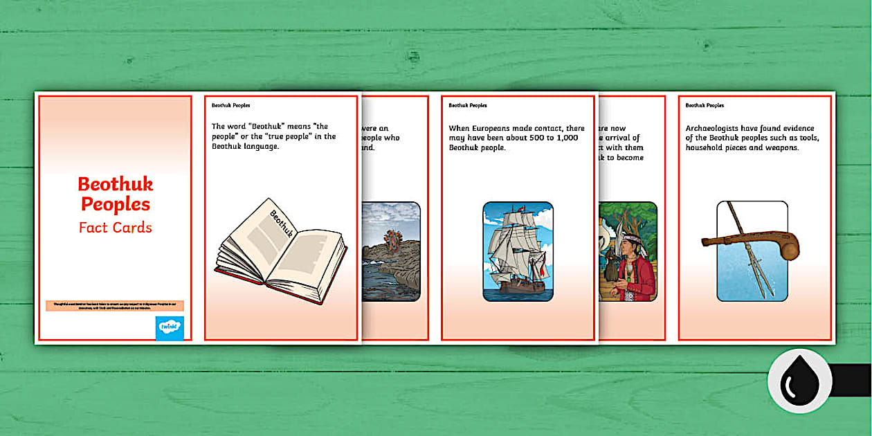 FREE! - Beothuk Fact Cards (teacher made) - Twinkl