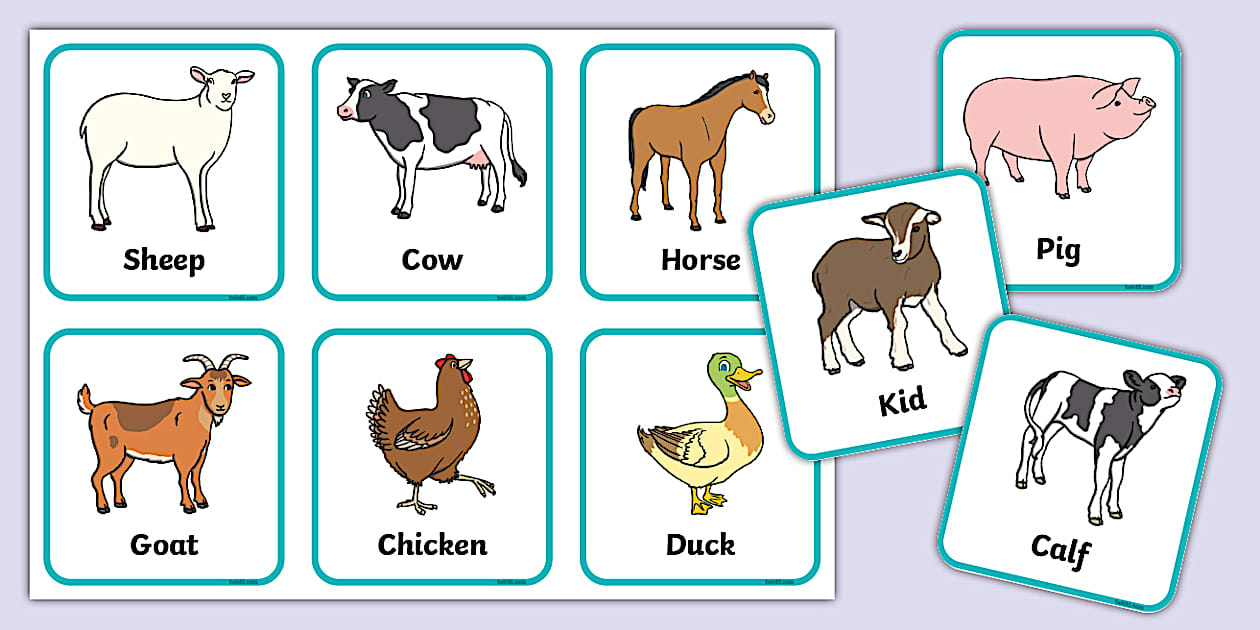 Farm Animals and Their Babies Matching Cards - Twinkl