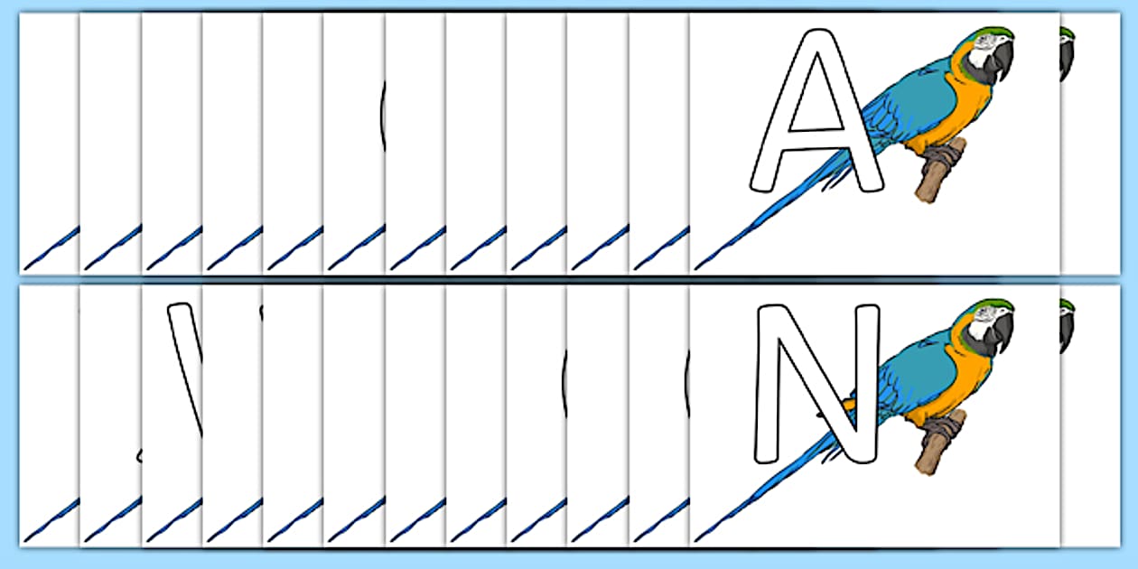 A-Z Alphabet on Parrots (Teacher-Made) - Twinkl