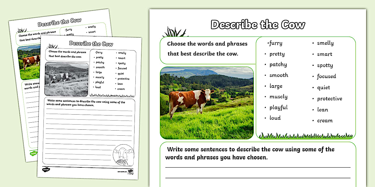 Describe the Cow Worksheet (teacher made) - Twinkl