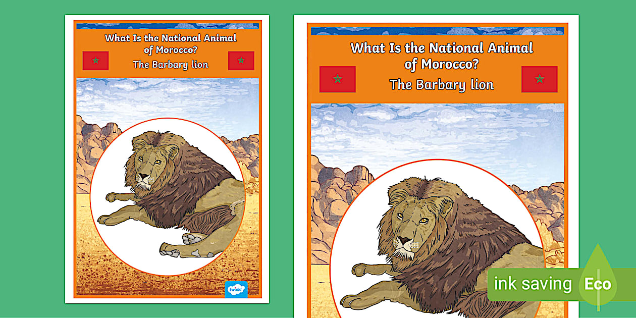 National Animal of Morocco Display Poster