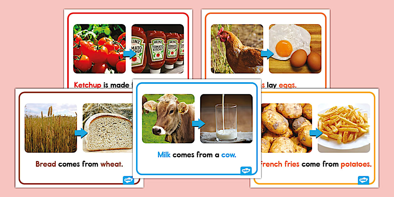 Farm to Table Posters for PreK Students | Twinkl USA