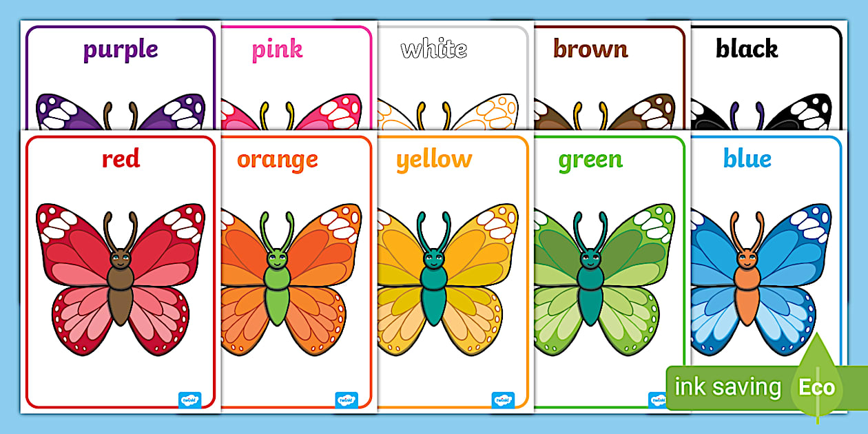 Colour Words on Butterflies - Twinkl