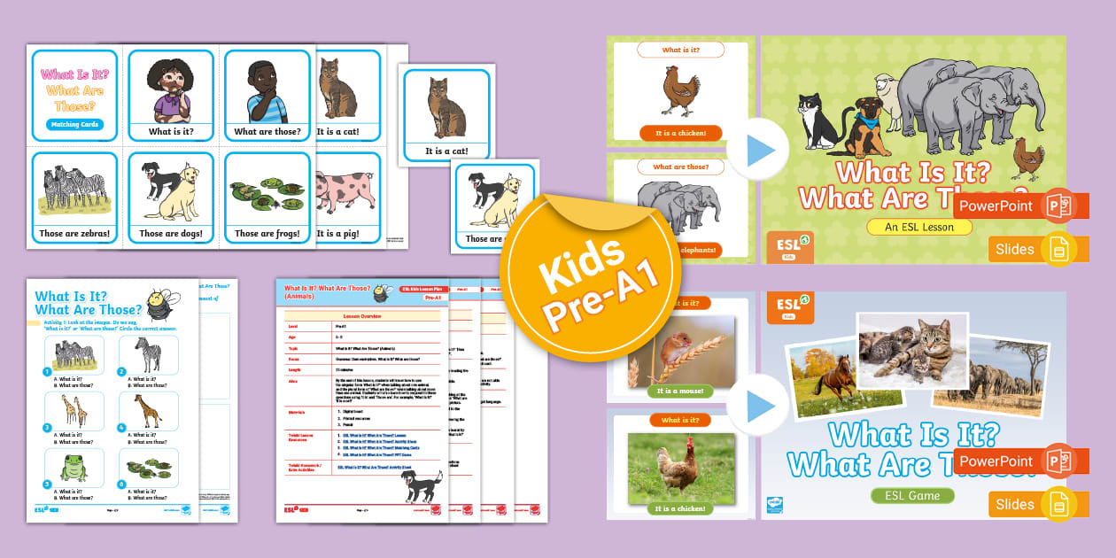 ESL What Is It? What Are Those? Lesson Plan [Kids, Pre-A1]