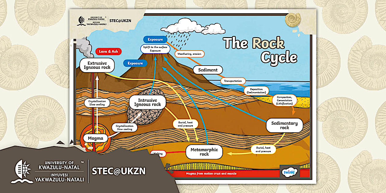 FREE! - University of KwaZulu-Natal Rock Cycle Activity