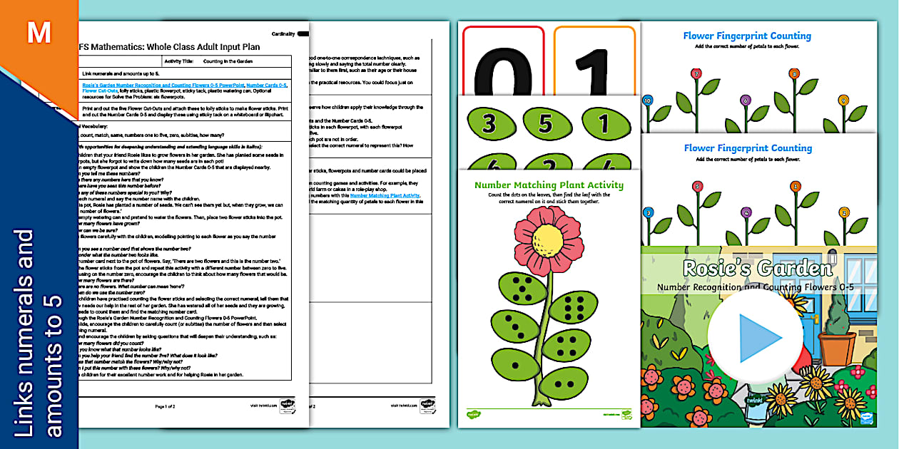 EYFS Counting in the Garden Adult Input Plan & Resources