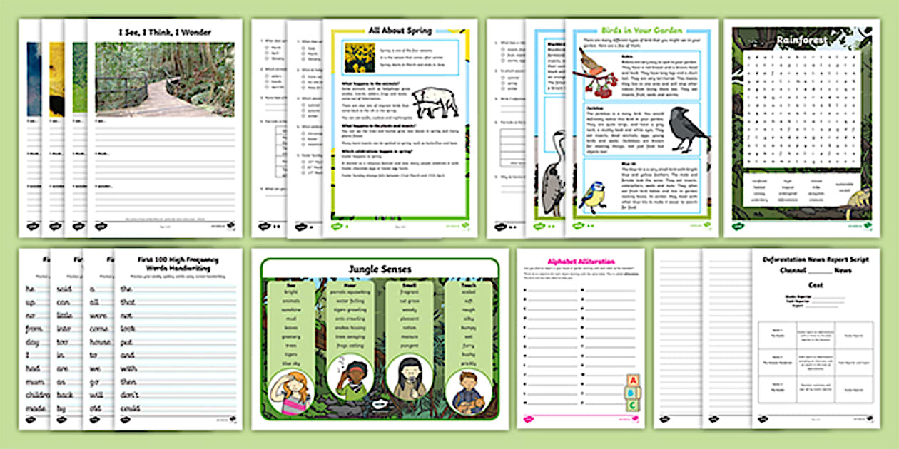 P4 Literacy Home Learning Pack 2 (teacher made) - Twinkl