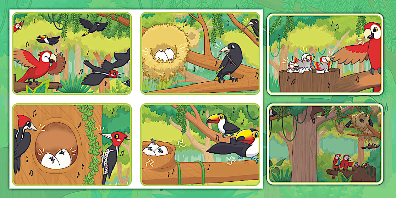 Dance to the Hatching Beat Story Sequencing Cards - Twinkl
