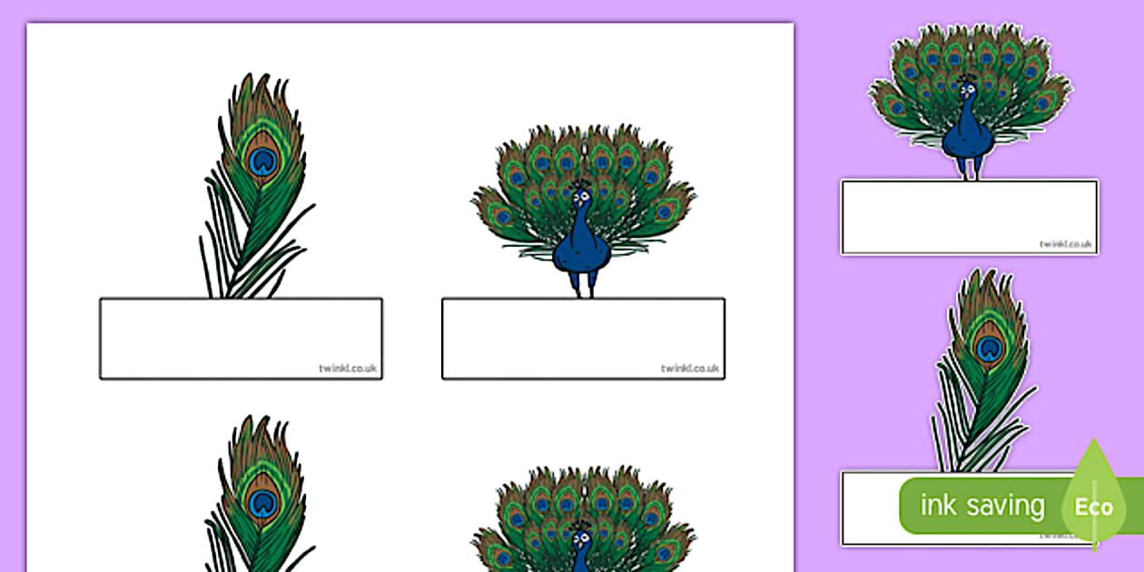 Peacock-Themed Self-Registration Labels - Twinkl