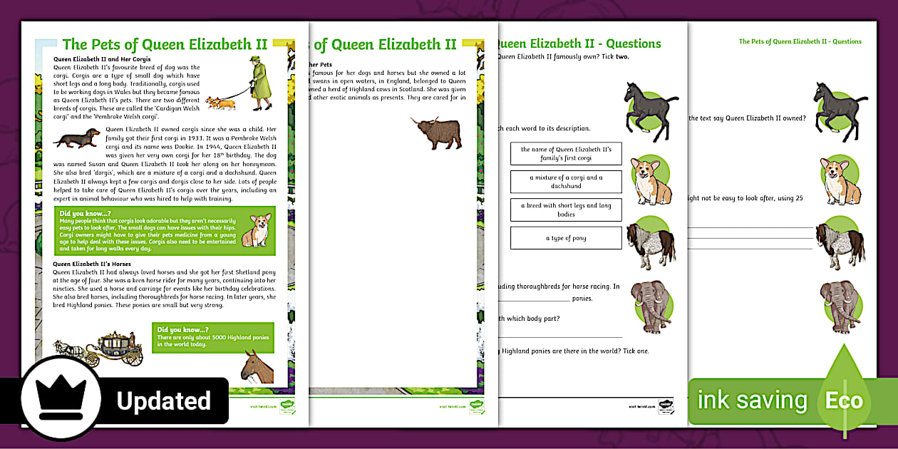The Pets of Queen Elizabeth II Differentiated LKS2 Reading Comprehension