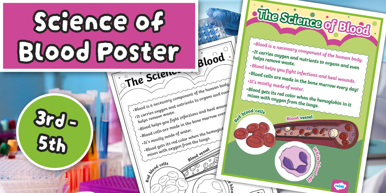 The Science of Blood Poster for 3rd-5th Grade