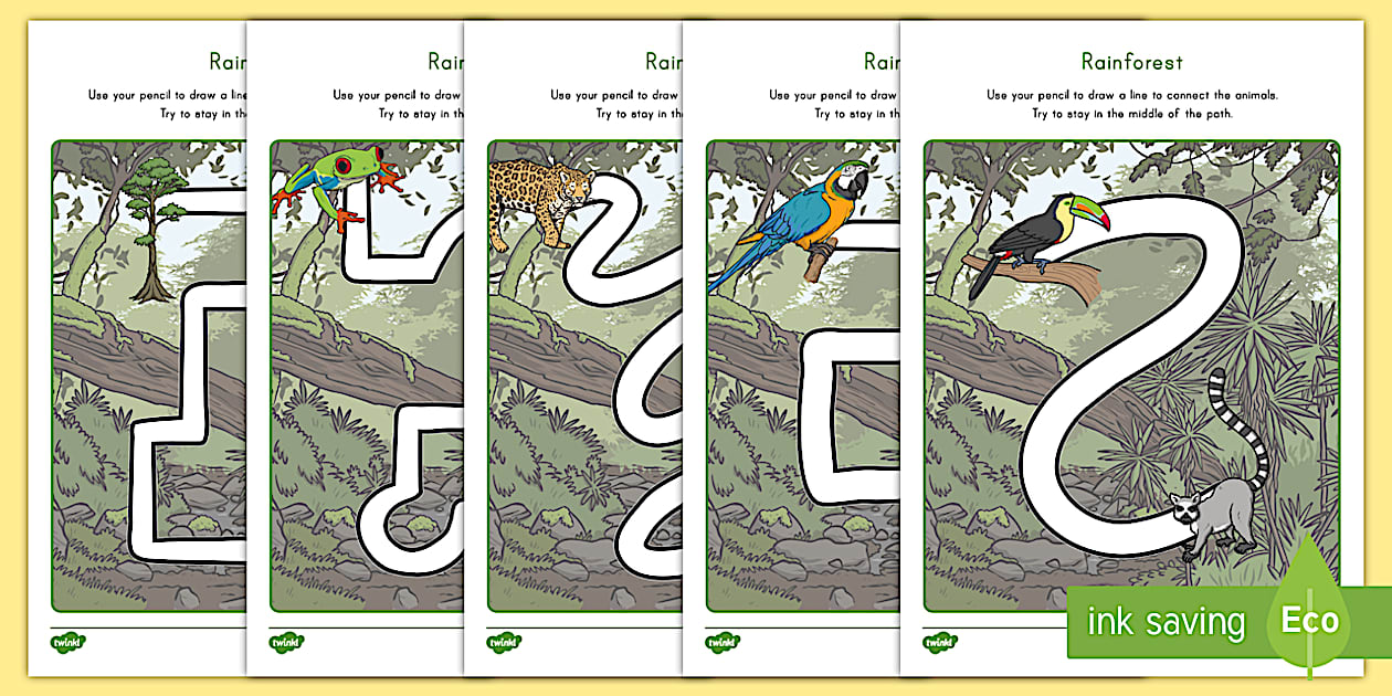 Rainforest Themed Pencil Control Worksheet - Fine Motor Skills