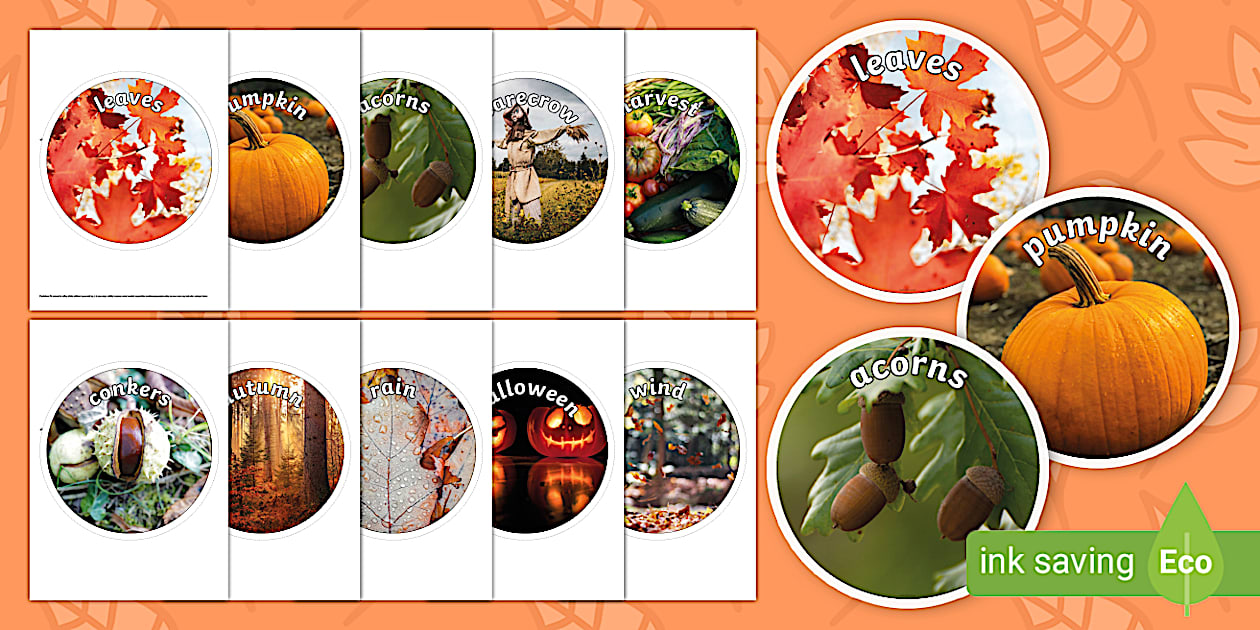 Autumn Display Circle Photo Cut-Outs (teacher made) - Twinkl