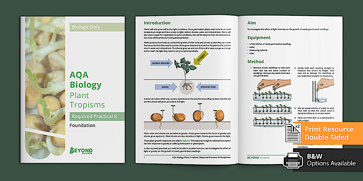AQA Biology Required Practical: Plant Tropism Responses Student Workbook